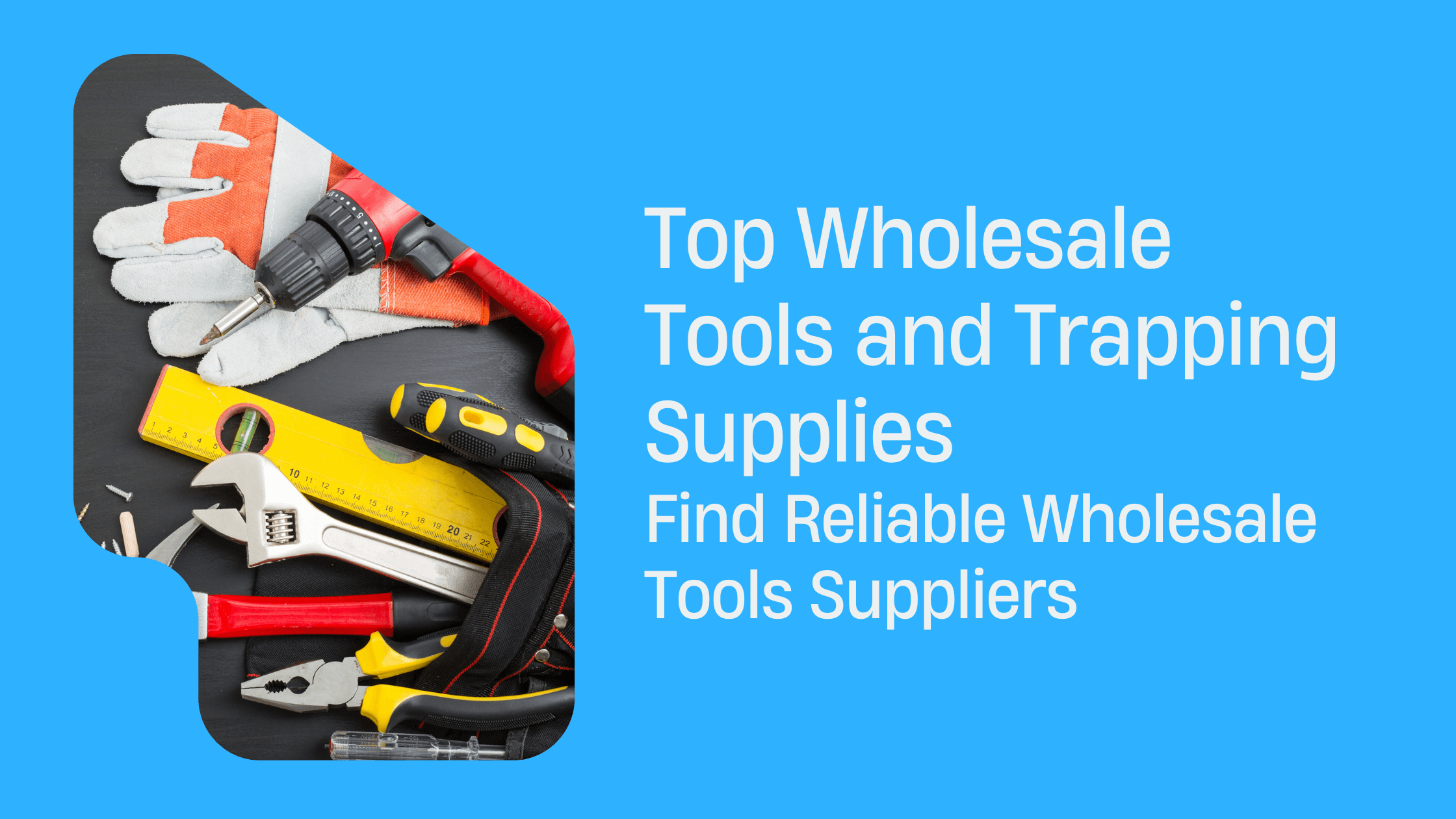 Top Wholesale Tools and Trapping Supplies - Find Reliable Wholesale ...